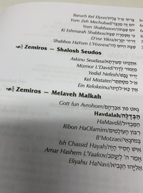 Family Zemirot White Shimmer Cover Hebrew English Bencher
